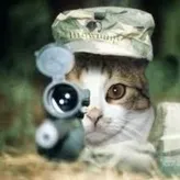 Sniper-Cat's Gallery - Pixilart