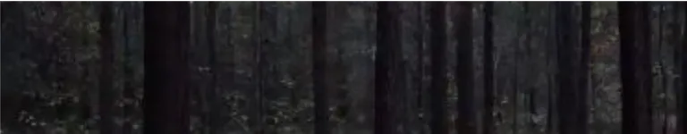 caraphernelia's Gallery - Pixilart