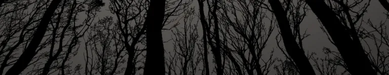 sprunki's Gallery - Pixilart